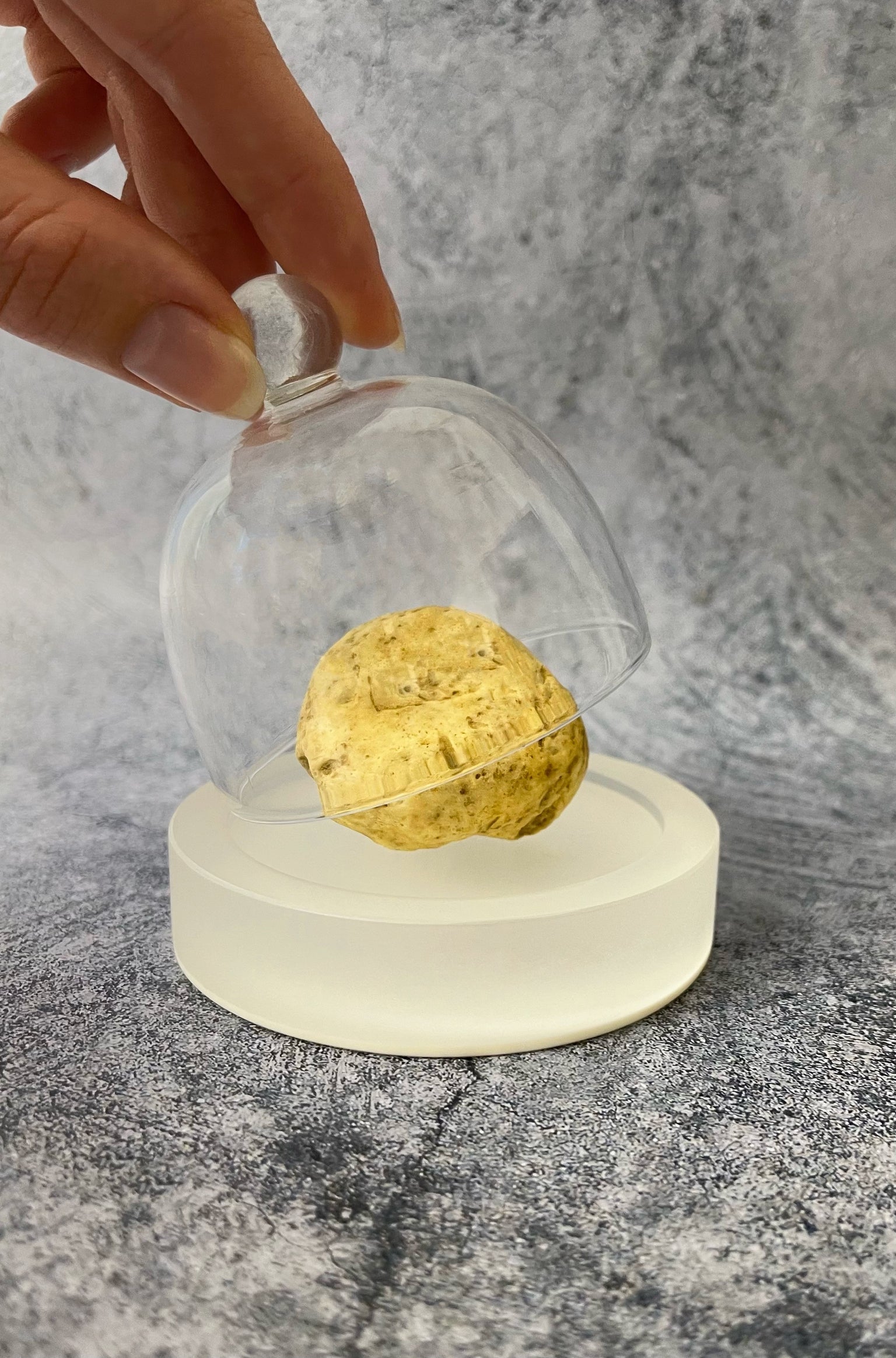 Fresh Truffles — Gourmet Attitude